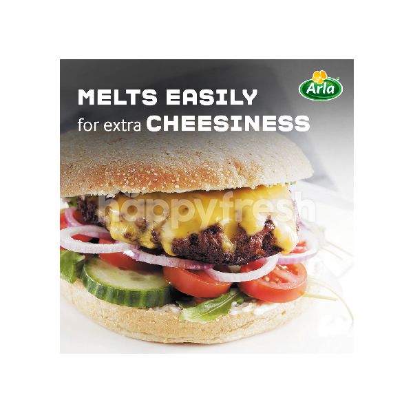 Beli Arla Burger Slice Cheddar Cheese dari Giant Hypermarket ...
