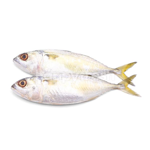 Beli Chub Mackerel (Ikan Temenung) dari Lotus's - HappyFresh